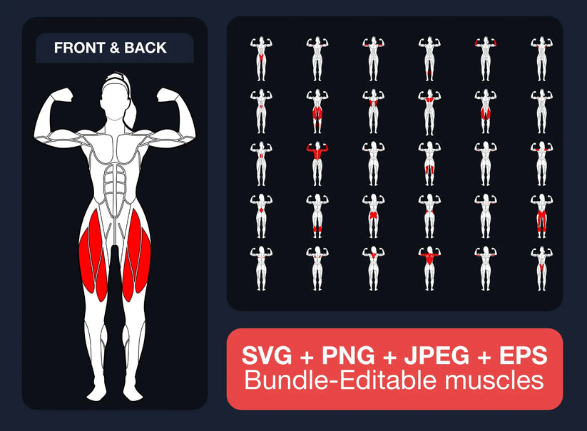 Female Bodybuilding Editable Muscle Graphics | Customize Now ...