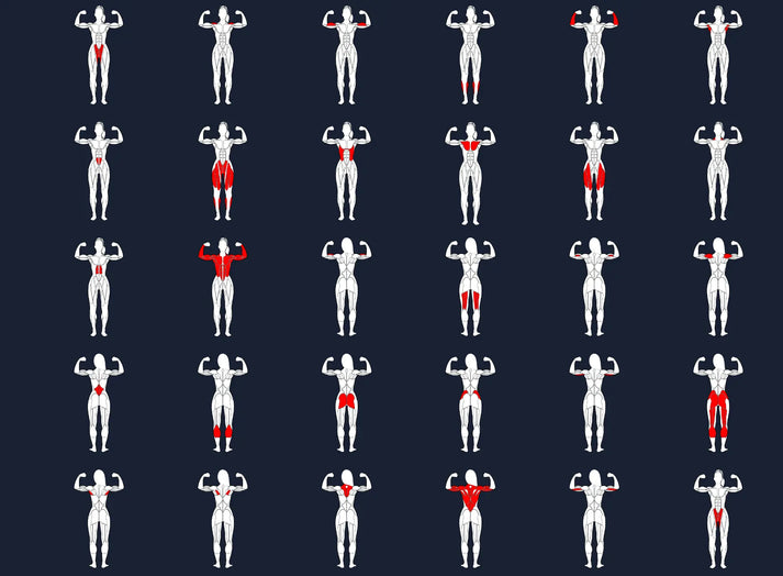 Female Bodybuilding Editable Muscle Graphics | Customize Now ...