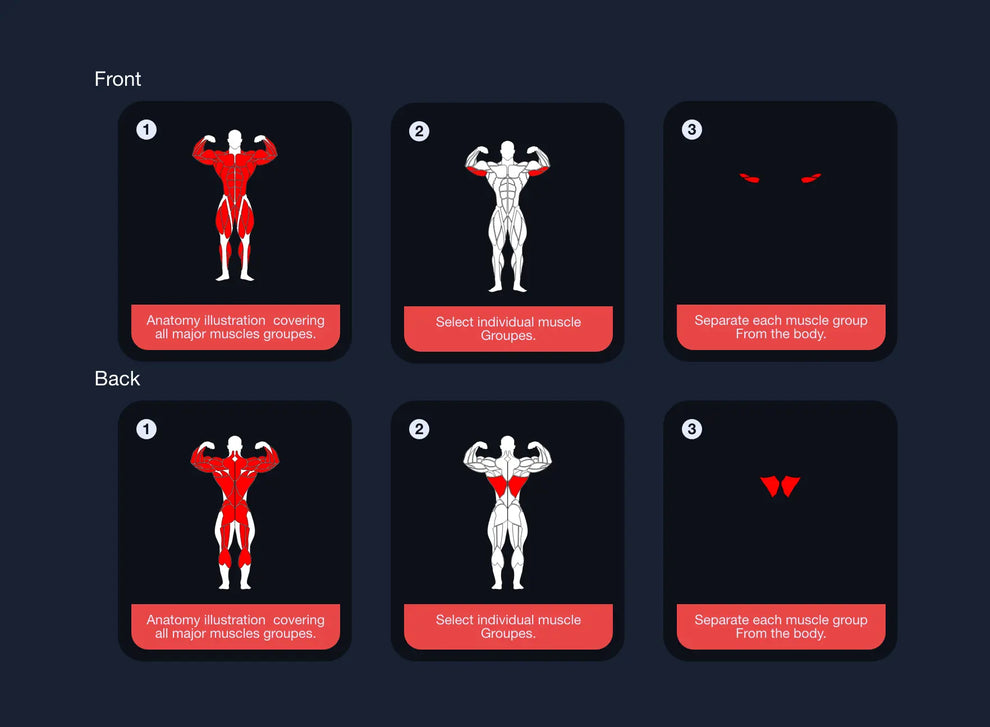 Male Bodybuilding Editable Muscle Graphics - Perfect for Fitness ...