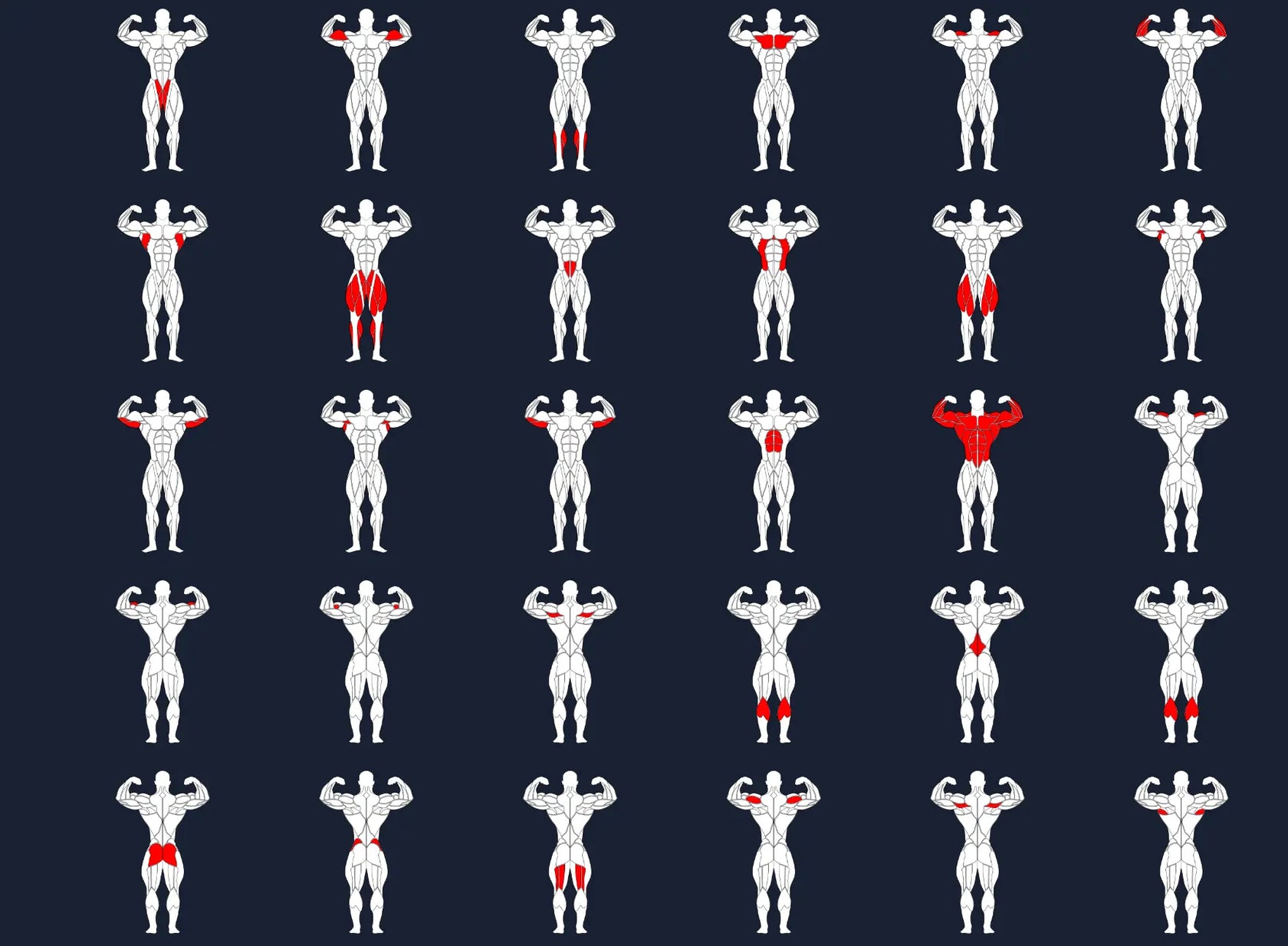 Male Bodybuilding Editable Muscle Graphics - Perfect for Fitness ...