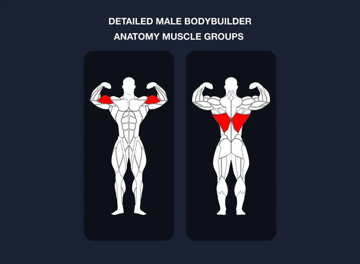 Male Bodybuilding Editable muscle graphics – ccreation.store